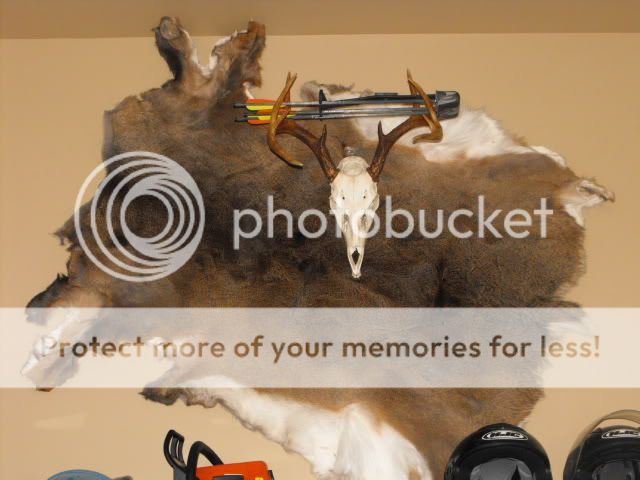 Razorbacks Work.. | Nova Scotia Hunting Forum