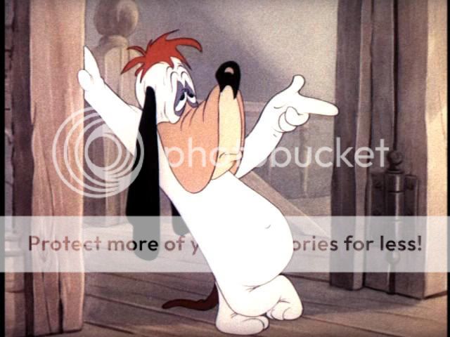 Pick me out a new avatar | CattleToday.com - Cattle, Cow & Ranching ...