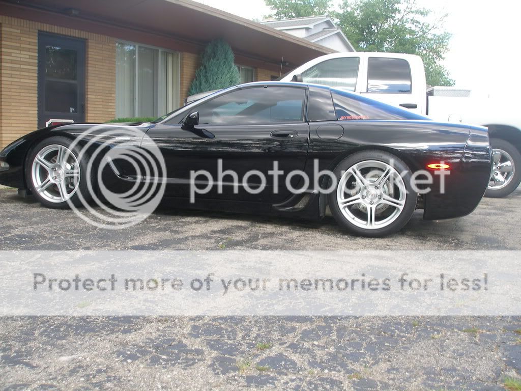 LS1 emblem - CorvetteForum - Chevrolet Corvette Forum Discussion