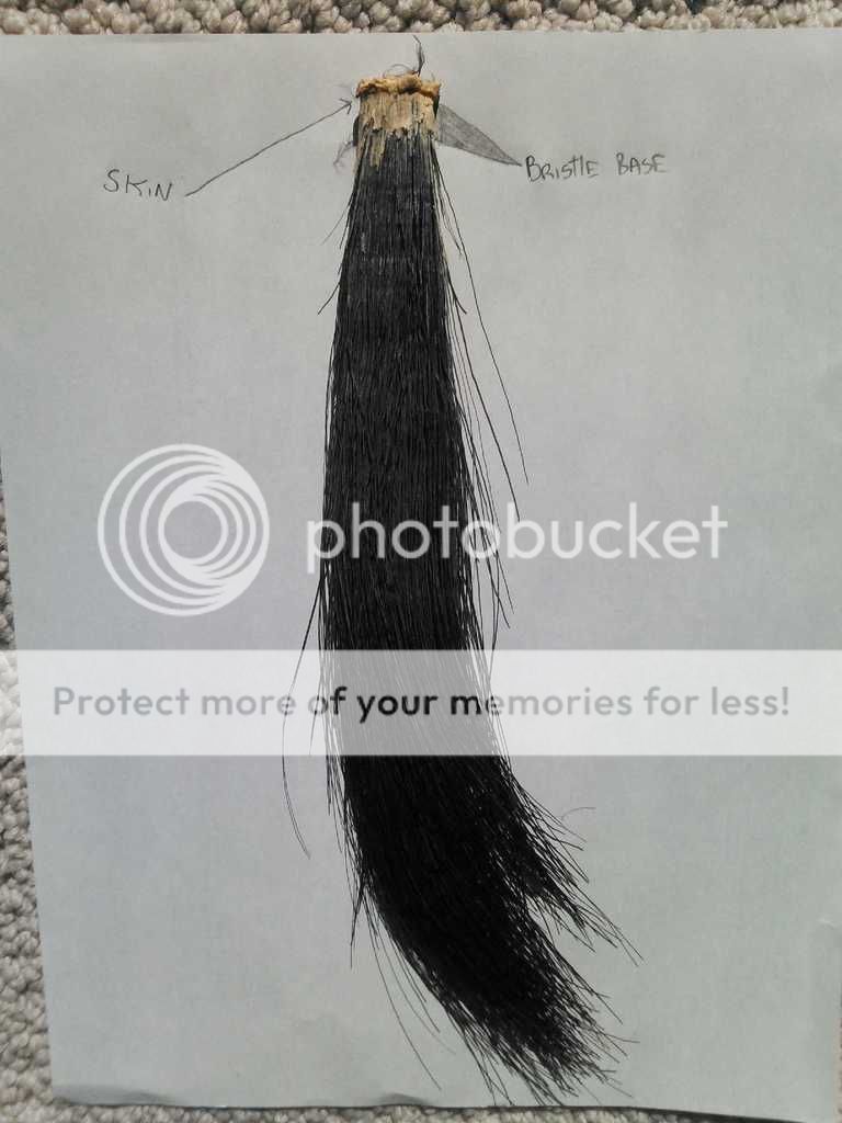 Turkey Beard Styles at Craig Alston blog