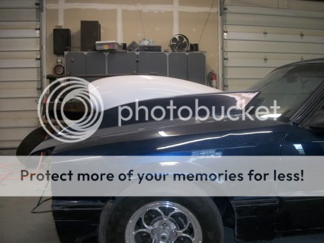 Show your Fox Body Hood Thread!!!! | Page 12 | Ford Mustang Forums